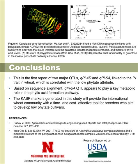 Relationship Of Kasp Marker Categories Genotyping And Pi Phenotyping