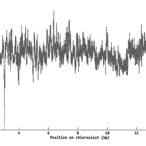 The Phylogenetic Scheme Based On Single Nucleotide Polymorphisms Snp