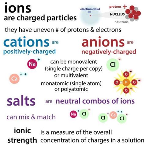 Ion Definition And Examples Biology Online Dictionary
