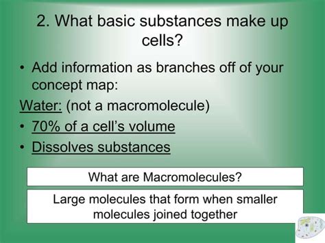 Ch 2 1 Review Macromolecules And Cell Theory Ppt