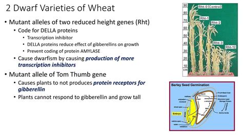 Ch 17 Part Ppt Download