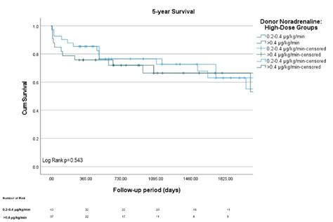 High Dose Noradrenaline Support Subgroup Analysis Regarding Survival
