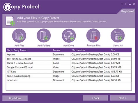 Copy Protect Copy Protection Software Copyright Your Work
