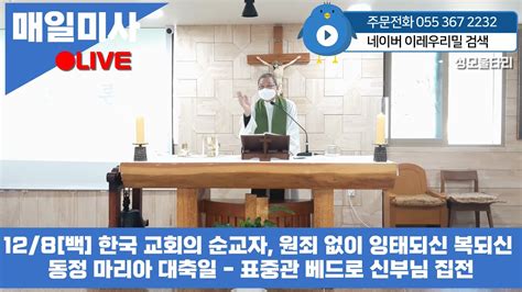 Live미사 2021년 12월 8일 한국 교회의 수호자 원죄 없이 잉태되신 복되신 동정 마리아 대축일ㅣ표중관 베드로 신부님