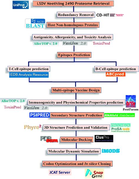 The Systematic Workflow Of The Current Study Download Scientific Diagram