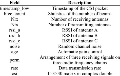 The Structured Form Of A Csi Packet Download Scientific Diagram