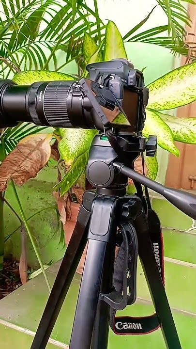 Dslrcamera Canondslr 💥📸 Gtrukeditor Viral Video Reels