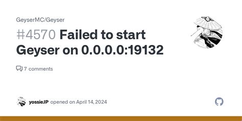 Failed To Start Geyser On 000019132 · Issue 4570 · Geysermcgeyser