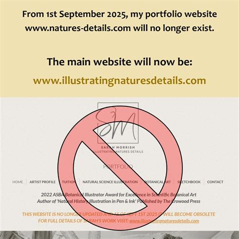 Illustrat Illustrating Natures Details With Sarah Morrish