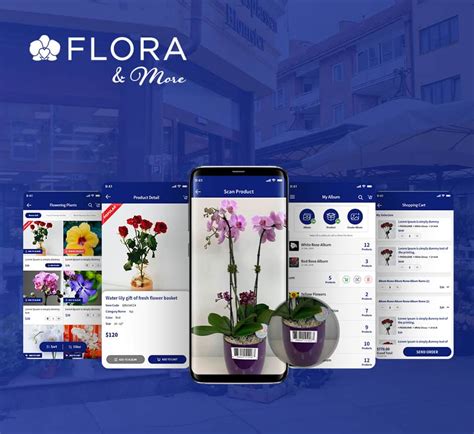 Portfolio Codeepsilon