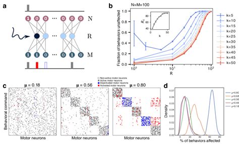 Robustness Of The Network To Perturbations Increases With The Size Of Download Scientific