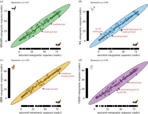 Pairwise Comparisons Of Ranked Ontogenetic Sequences The Ancestral