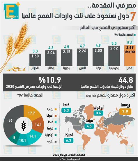 مصر في مقدمة 7 دول تستحوذ على ثلث واردات القمح عالمياً Economy Plus