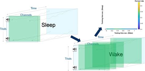 Figures And Data In Targeted Memory Reactivation In Human Rem Sleep