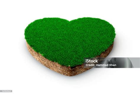 심장 모양 녹색 잔디와 토양 토지 지질학 단면 지구 진흙 잘라 고립 된 3d 일러스트 레이 션 하트 모양에 대한 스톡 사진 및 기타 이미지 Istock