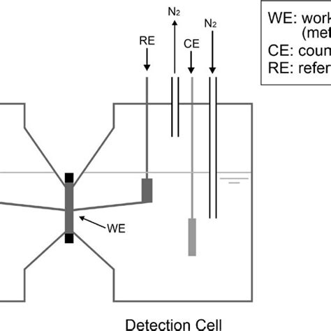 Schematic Of Electrochemical Double Cell Used In Potentiodynamic