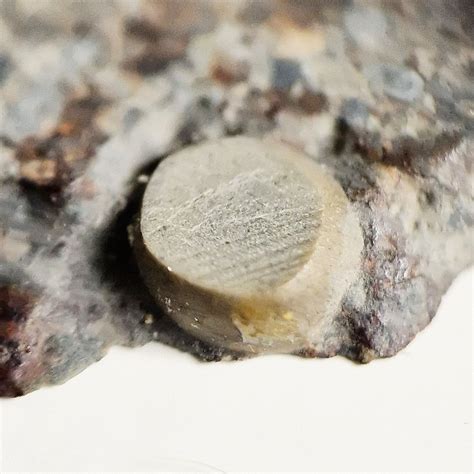 Meteorite Ll3 6 Senza Riserva Nwa 15195 Chondrule Esposto