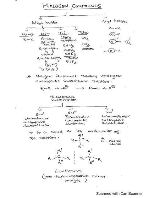 Halogen Compounds Pdf