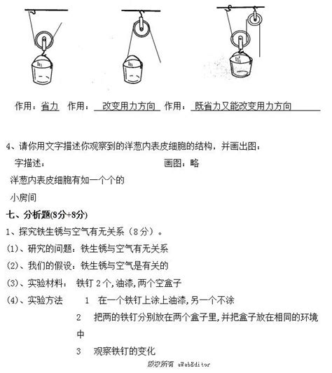 小学科学教师招聘考试模拟试题及参考答案四 科学教师招聘试题