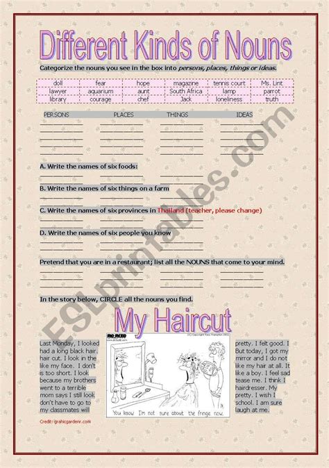 Classification Of Nouns Esl Worksheet By Maiagarri