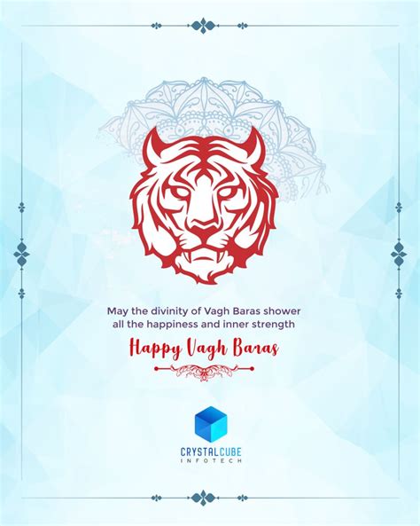 Crystalcube Infotech On Linkedin Vaghbaras Indianfestival