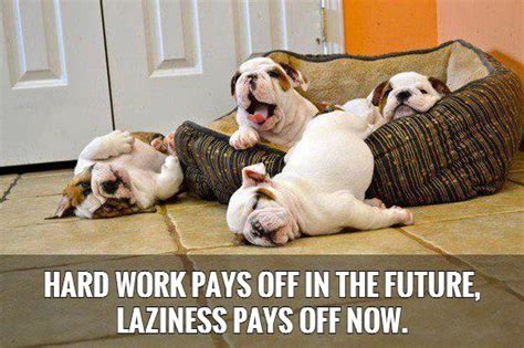 Hard Work Pays Off In The Future Laziness Pays Off Now Picture Quotes
