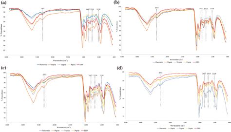 Effect Of Different Pretreatments A Untreated B Boiling C Download Scientific Diagram