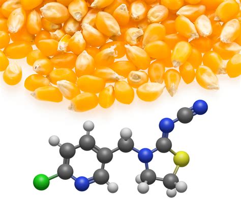 Understanding The Impact Of Neonicotinoid Insecticides Clean Wisconsin