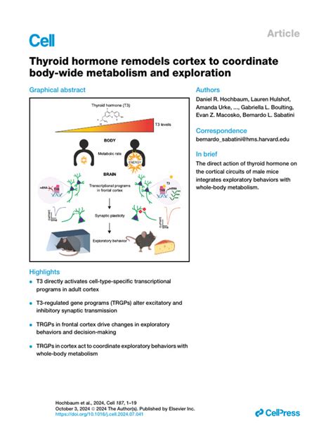 Thyroid Hormone Remodels Cortex To Coordinate Body Wide Metabolism And