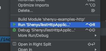 Apache ShenYu 启动示例 Apache ShenYu
