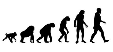 人类区别其他动物十大特征大脑特殊会脸红 科学探索 科技时代 新浪网
