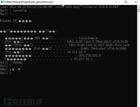 wss go基于 Golang 的 Websocket with SSL 的反向 Shell FreeBuf网络安全行业门户