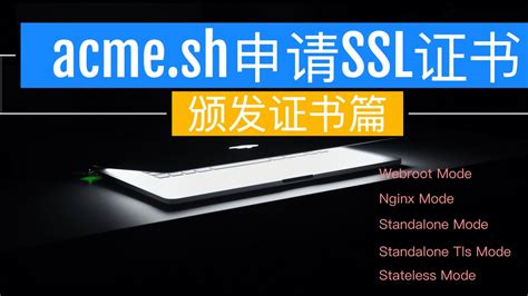 acme sh系列详细使用教程 颁发证书篇 教你如何简单方便申请SSL证书 五种颁发证书实战演示 WebrootNginx