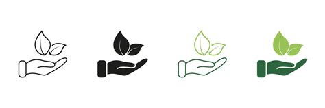 Hand Holding Leaves Line And Silhouette Icon Set Vegan Diet And Plant