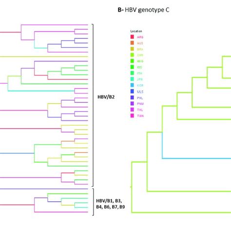 Phylogenetic Analysis Based On Hbv Partial Spol Nucleotide Sequences