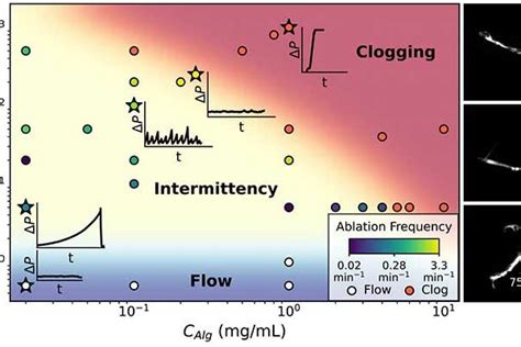 Sara M Hashmi Northeastern University College Of Engineering