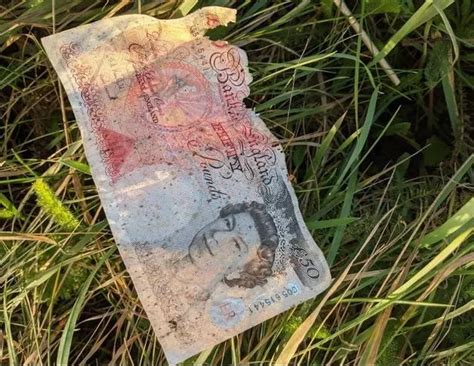 Serial Gloucestershire Litter Picker Finds Sex Toys Knickers And