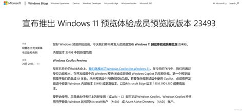 Win11的dev通道更新build23493版本后启用windows Copilot的解决办法win11copilot该服务在你所在的地区
