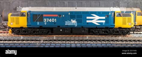 Class 37 Diesel Locomotive 37401 Mary Queen Of Scots 00 Gauge Scale