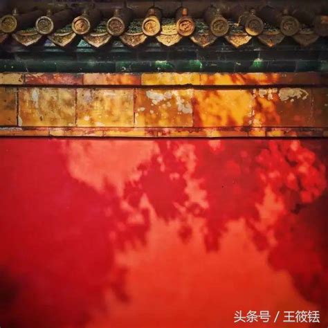 世間僅一次所以從從容容隨遇而安守好心走好路活得像自己 每日頭條
