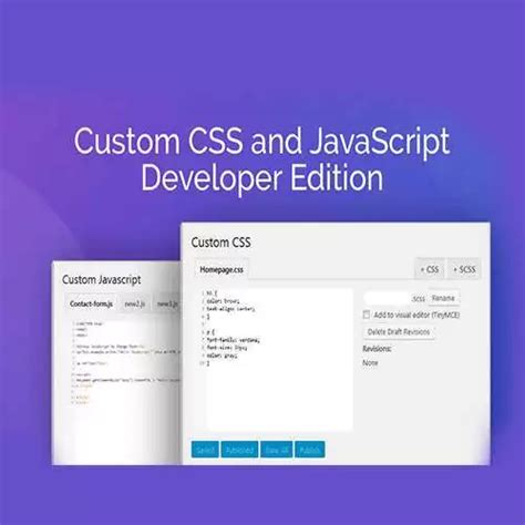 Divi Custom Css And Javascript Divi Theme Examples