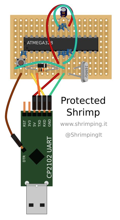 Shrimp Stripboard