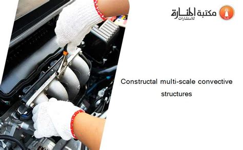 constructal multi scale convective structures