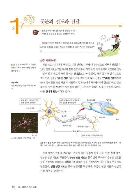 미래엔 엠티처
