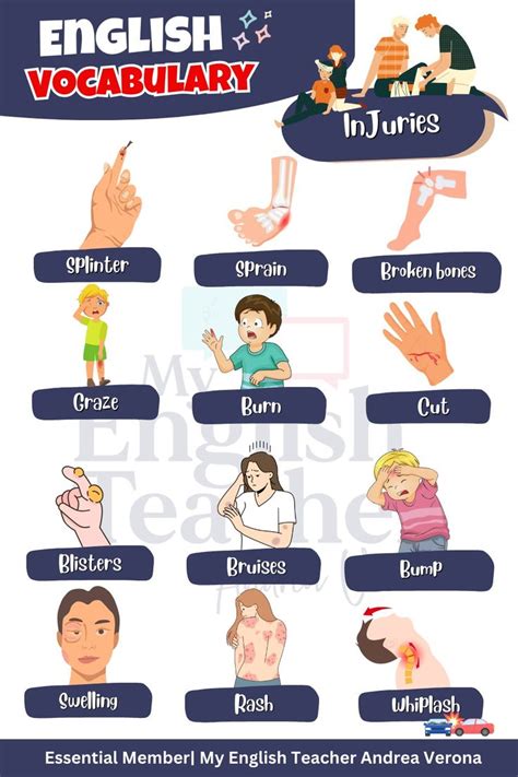 English Vocabulary Injuries In 2024 English Vocabulary Vocabulary