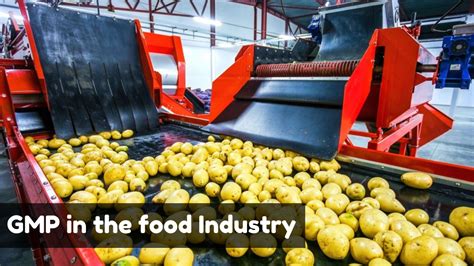 Gmp In The Food Industry