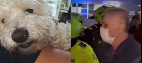 Maltrato Animal En Bogotá Denuncian Que Un Hombre Durante Más De 10