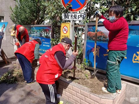 锁二社区关工委开展植树节活动 玄武区