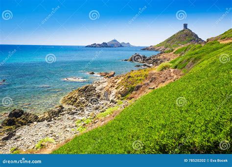 Genoese Tower At Scandola Nature Reserve Unesco World Heritage Stock