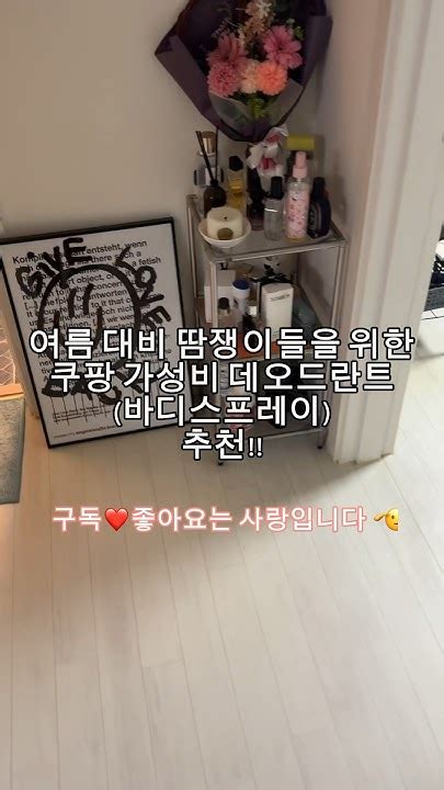 여름 준비 극가성비 데오드란트 바디스프레이 추천 향수 땀냄새 암내 Youtube